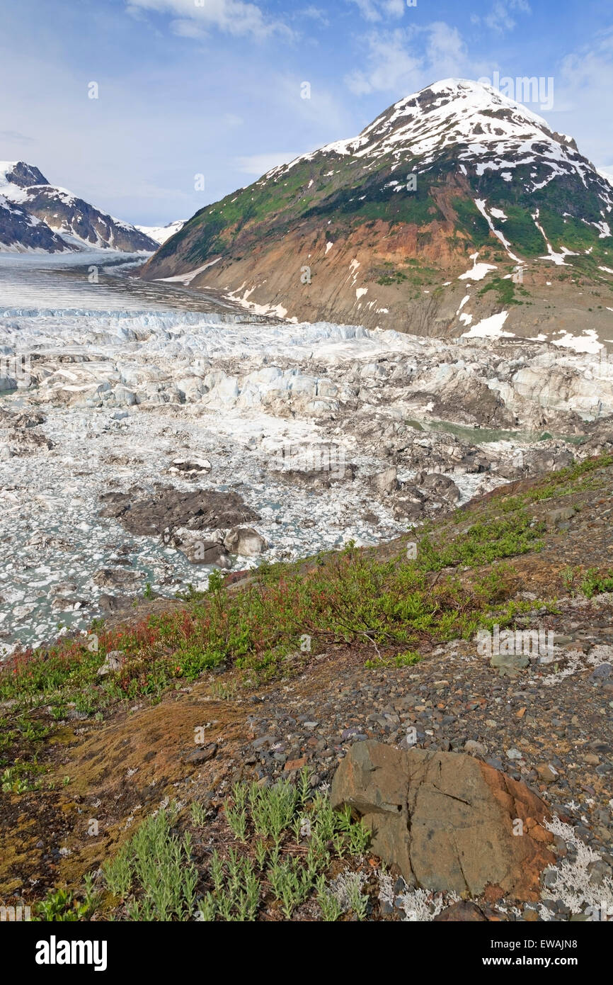 North arm of Salmon Glacier with ice floating in Summit lake, Stewart ...