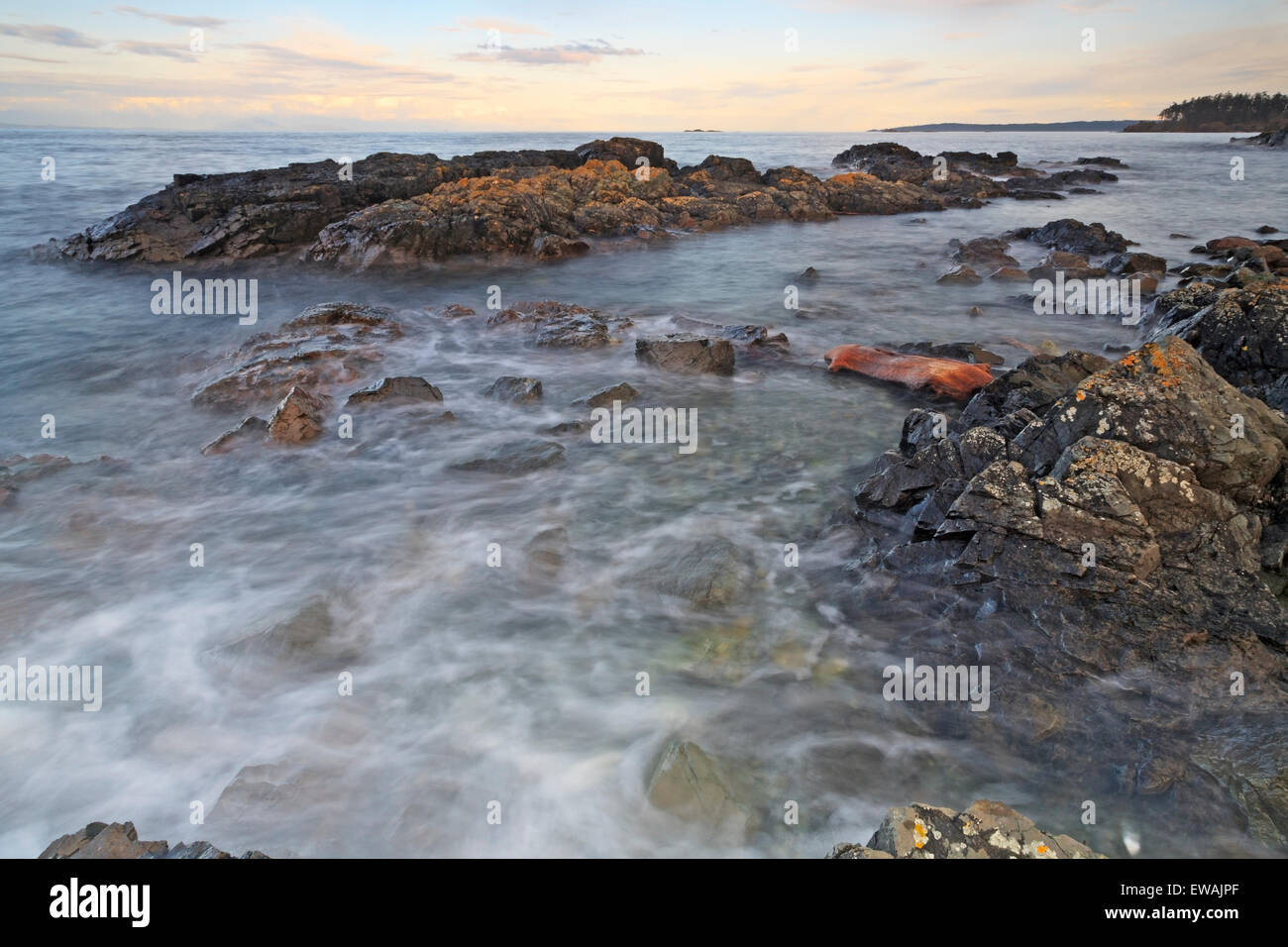 Shoreline scene at Neck Point Park, Nanaimo, Vancouver Island, British ...