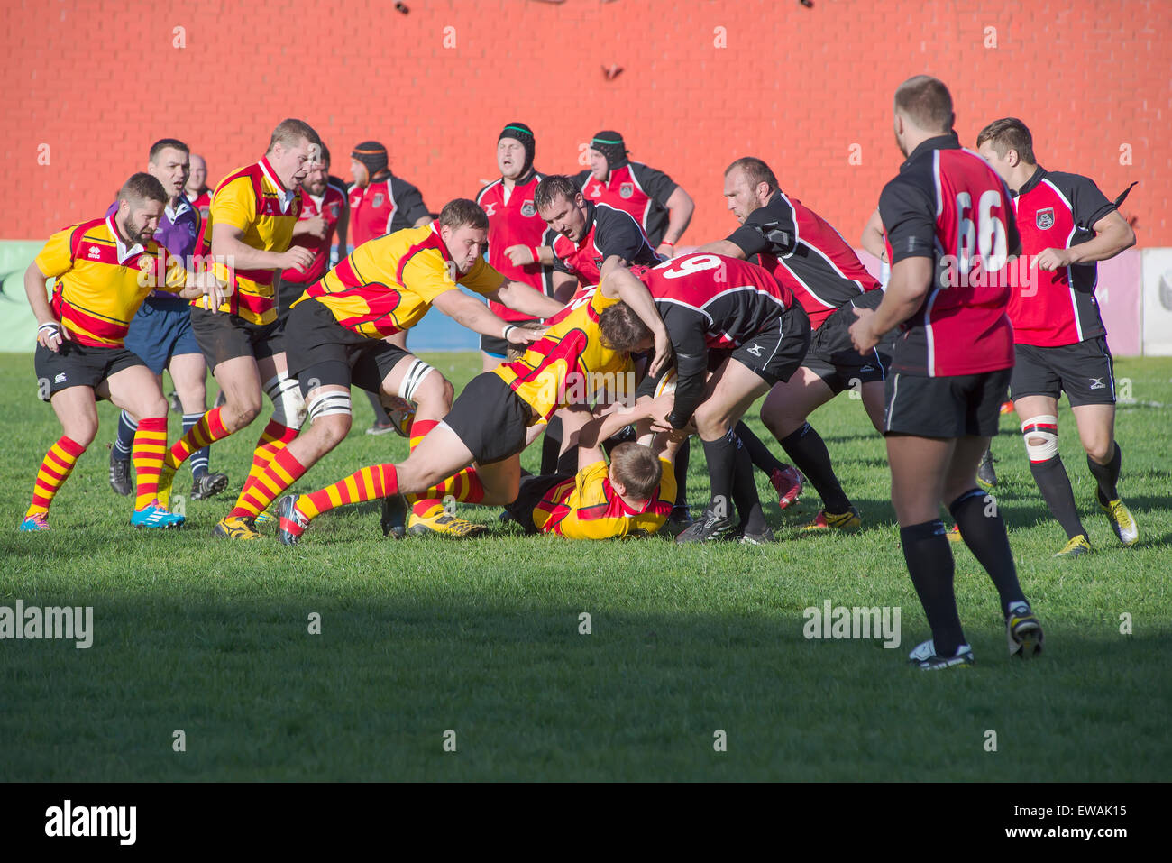 MOSCOW - MAY 13: Unidentified men in turtle fight on Russian Rugby ...