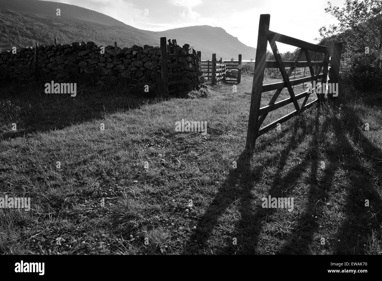 moody black and white shot of a farm gate taken into the sun with ...