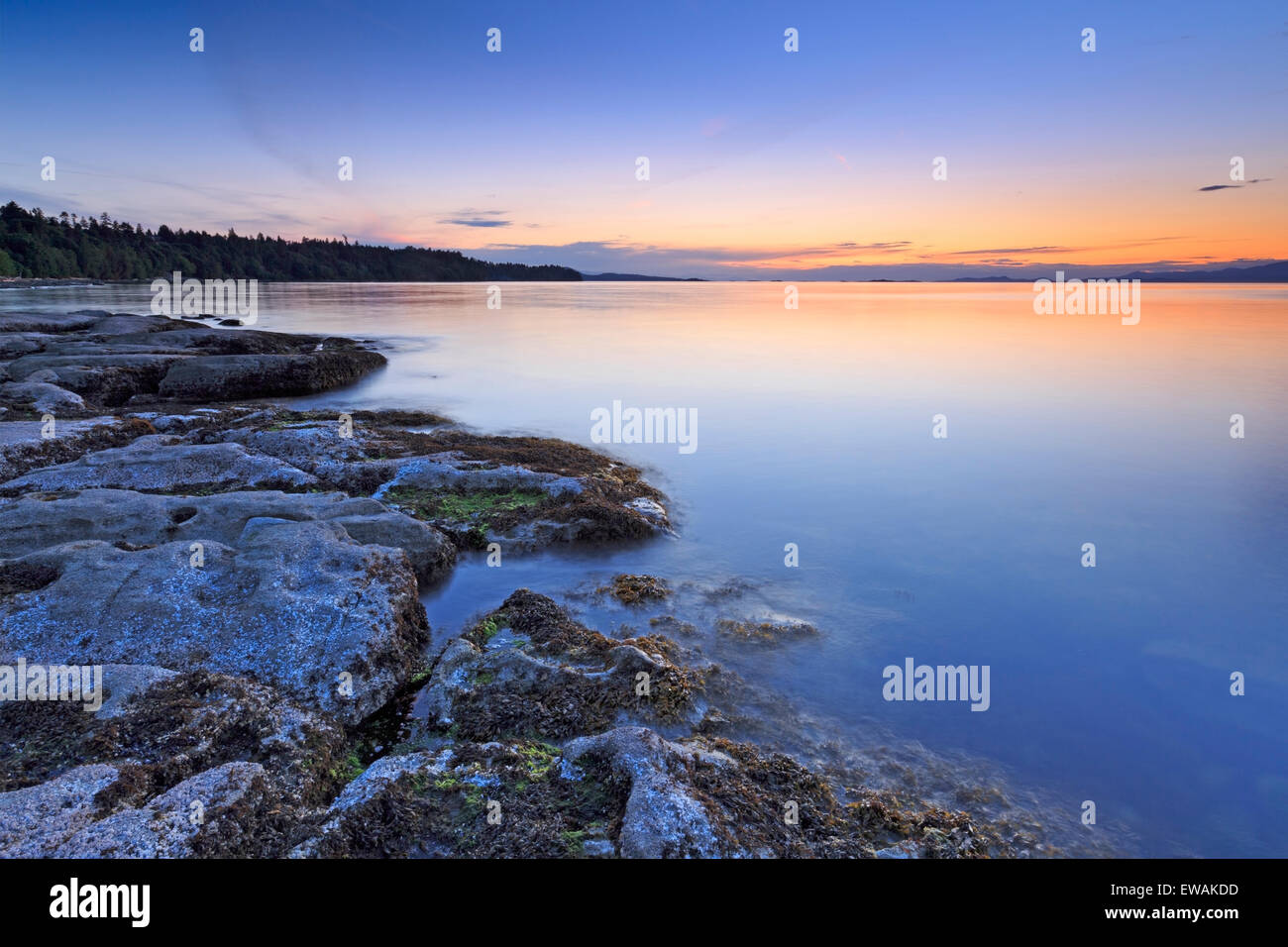 Sunset scene along shoreline of Georgia Strait, near Nanaimo, Vancouver ...