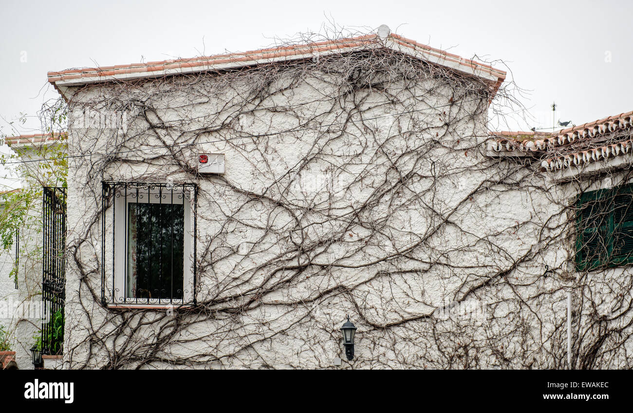 Withered roof hi-res stock photography and images - Alamy