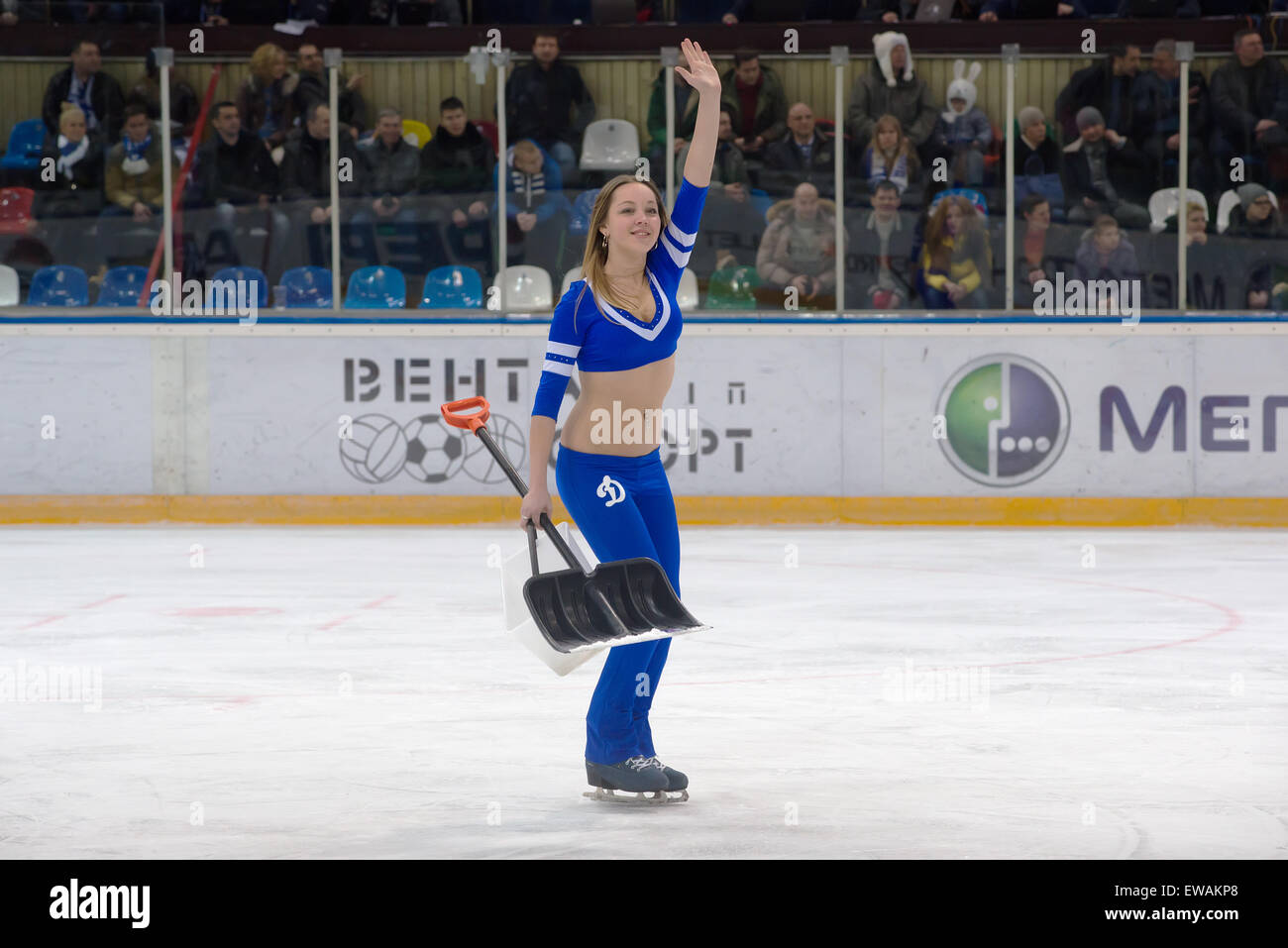MOSCOW - JANUARY 28, 2014: Unidentified Cheerleader of Dynamo team ...
