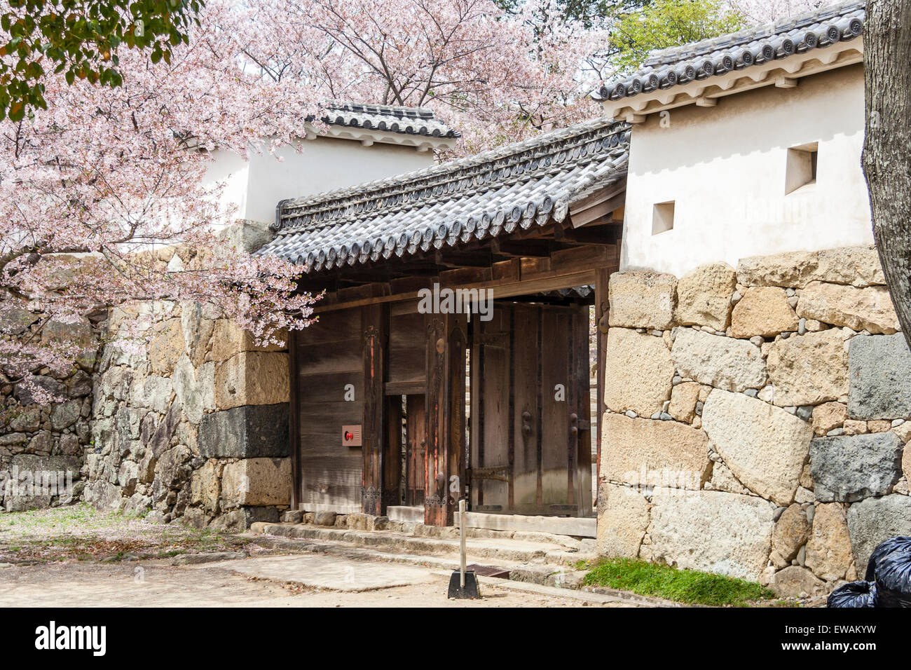 Himeji castle, Japan. The Ro gate with cherry blossoms on one side. A ...