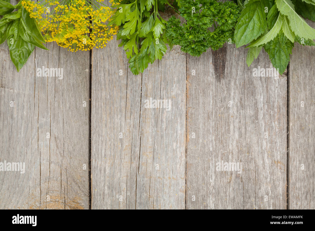 Herbs selection. Aromatic ingredients on wood table with copyspace ...
