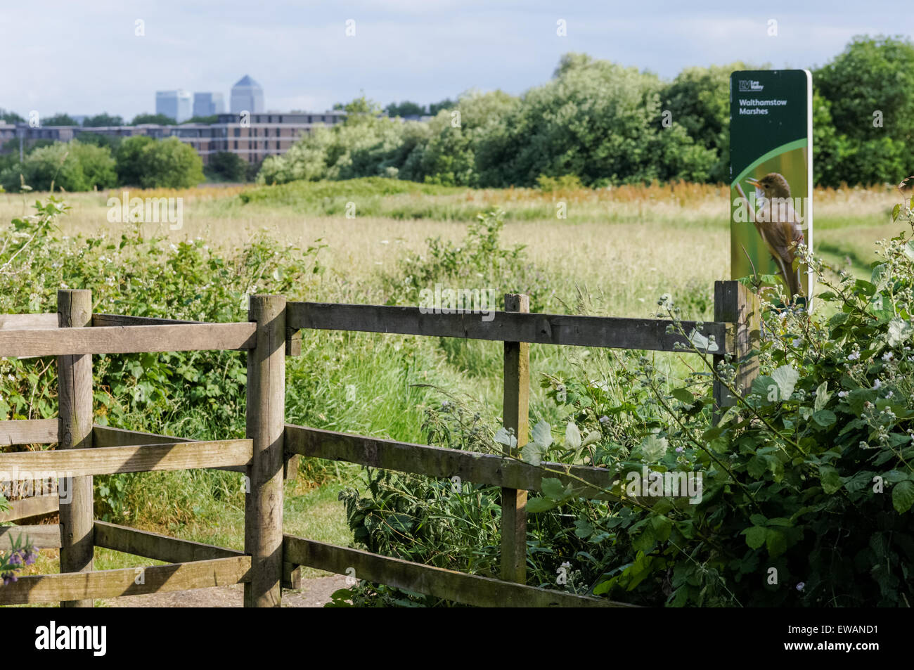 Walthamstow Marshes nature reserve, London England United Kingdom UK ...