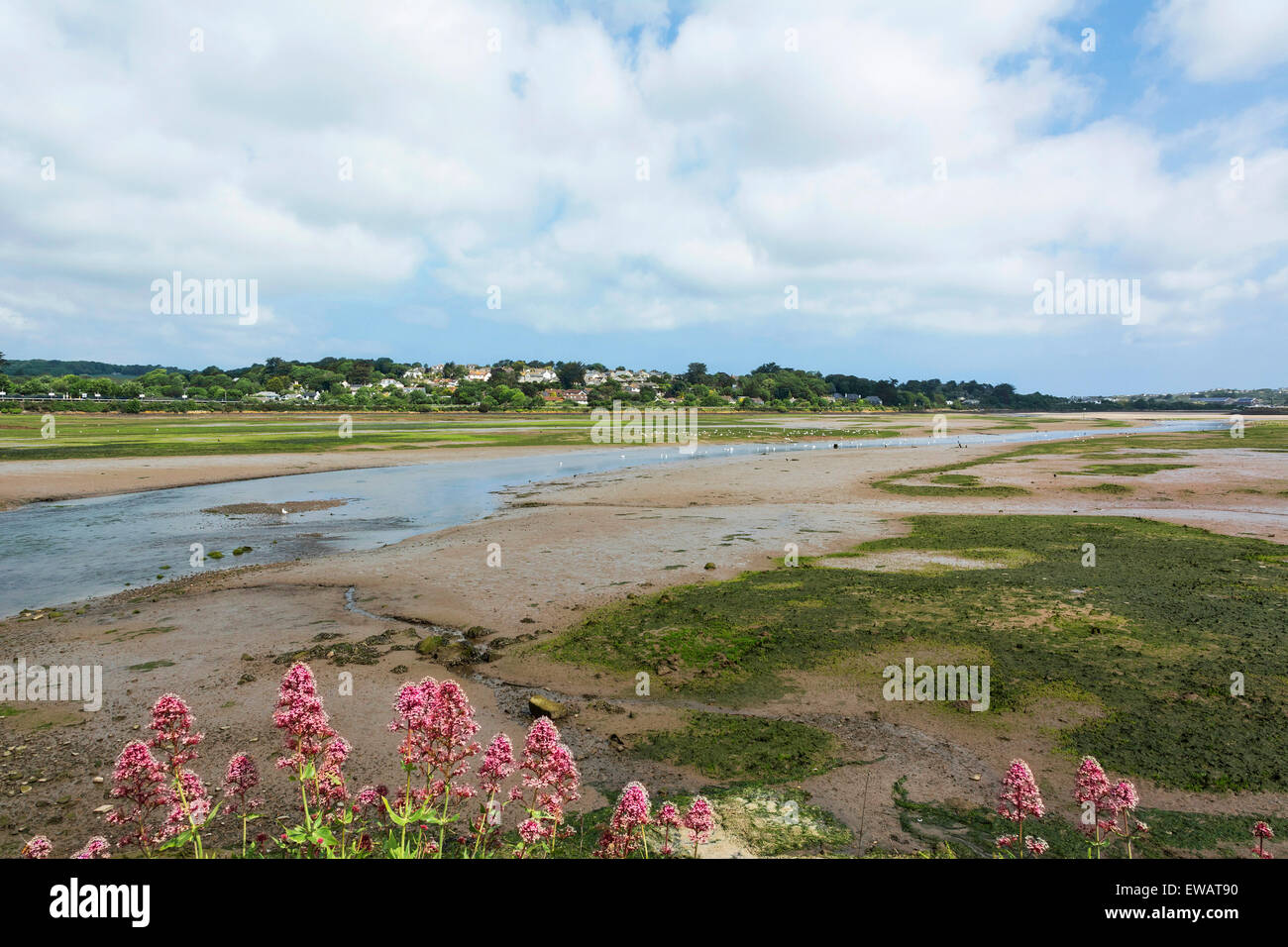 Hayle estuary, Cornwall, UK Stock Photo - Alamy