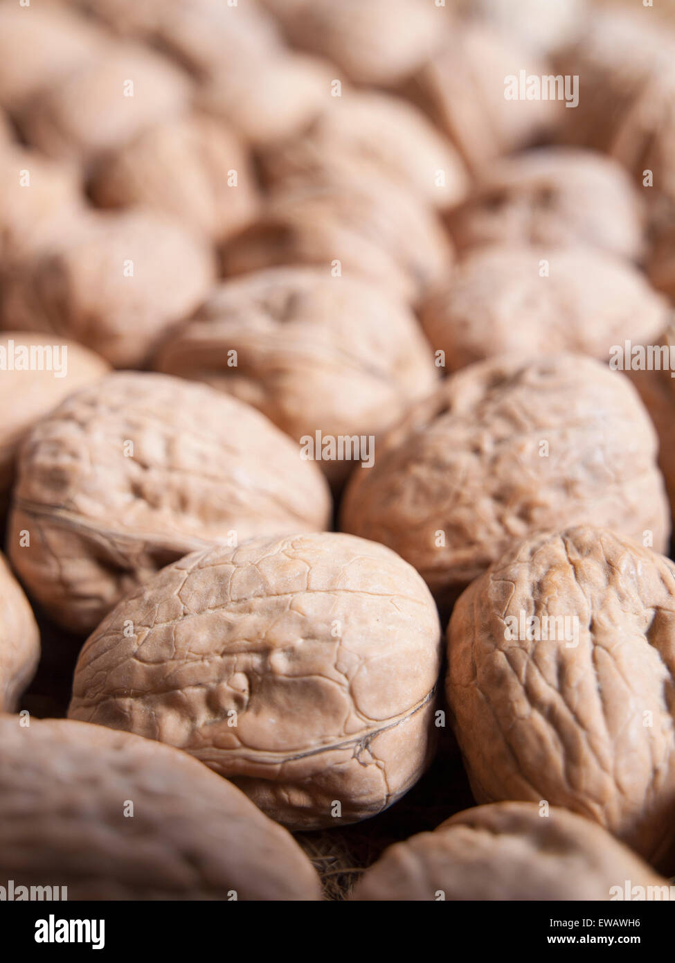 walnuts background in a studio shot Stock Photo - Alamy