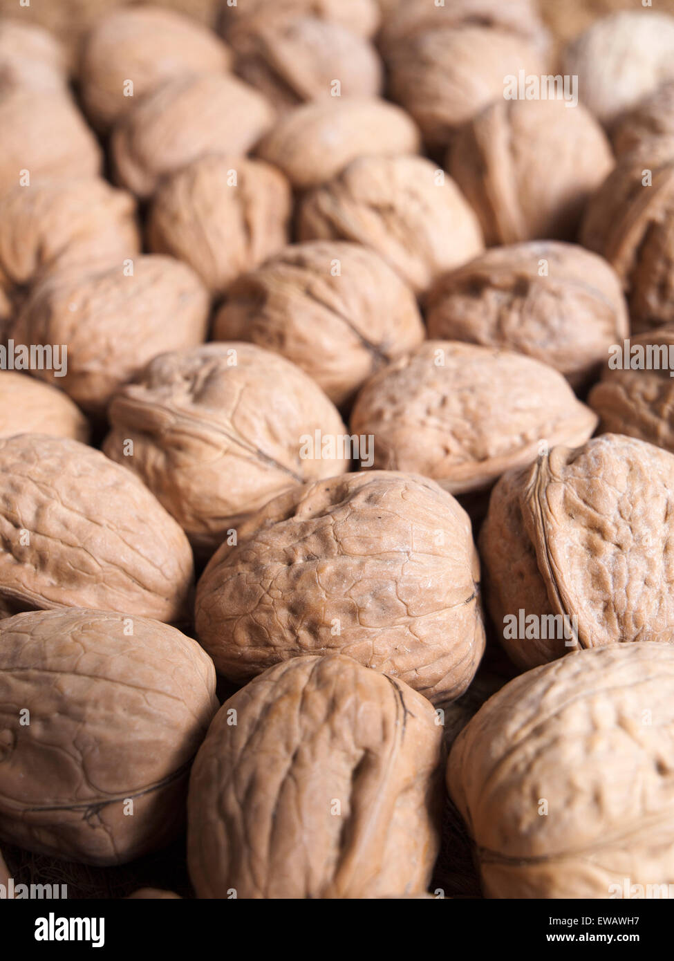 walnuts background in a studio shot Stock Photo - Alamy