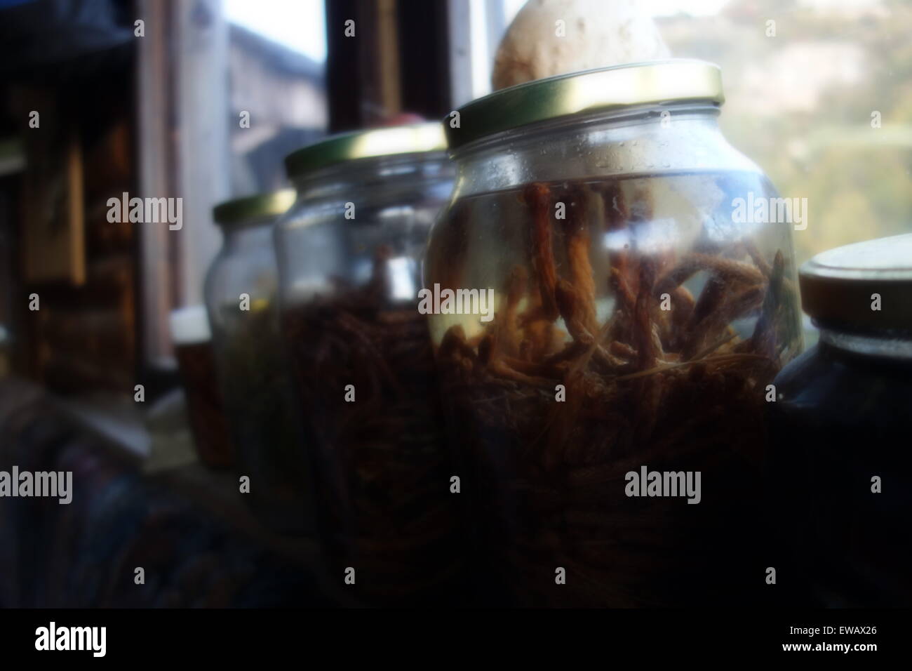 Rakija hi-res stock photography and images - Alamy