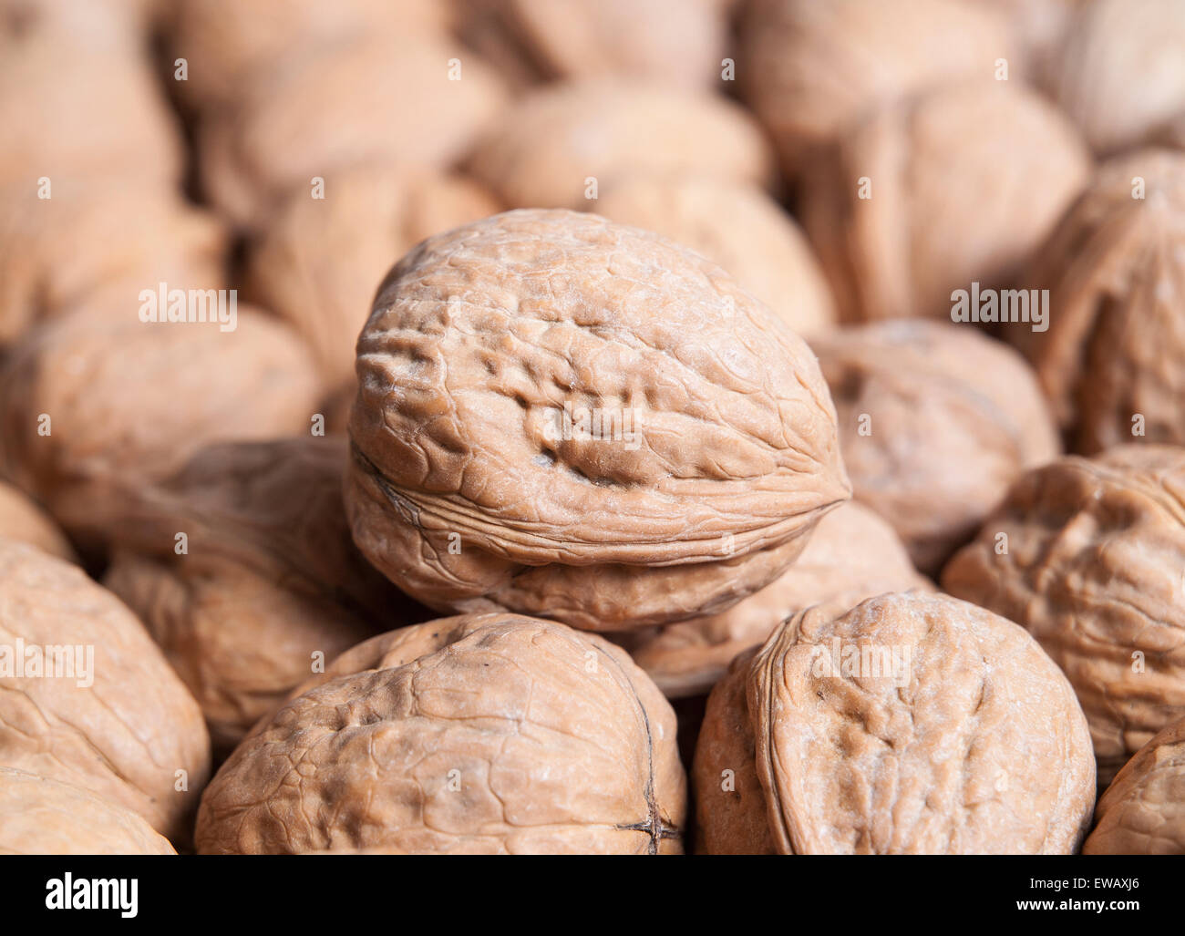 walnuts background in a studio shot Stock Photo - Alamy