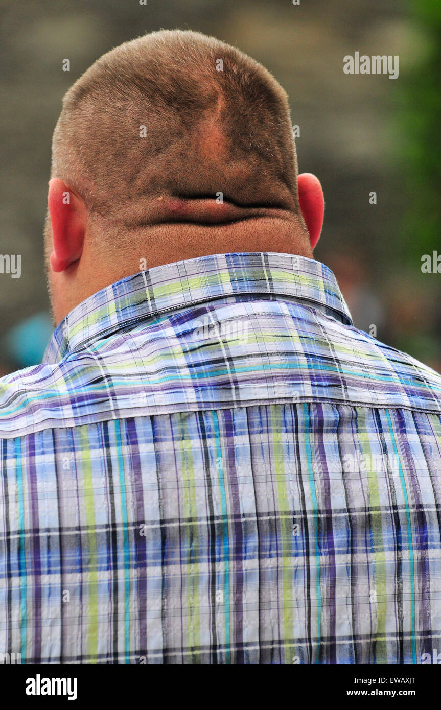 Broad neck hi-res stock photography and images - Alamy