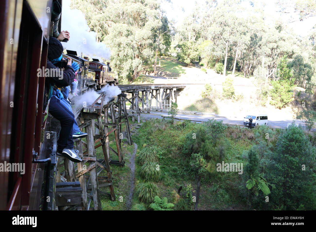 Puffing Billy steam train running on Trestle Bridge Belgrave Victoria ...