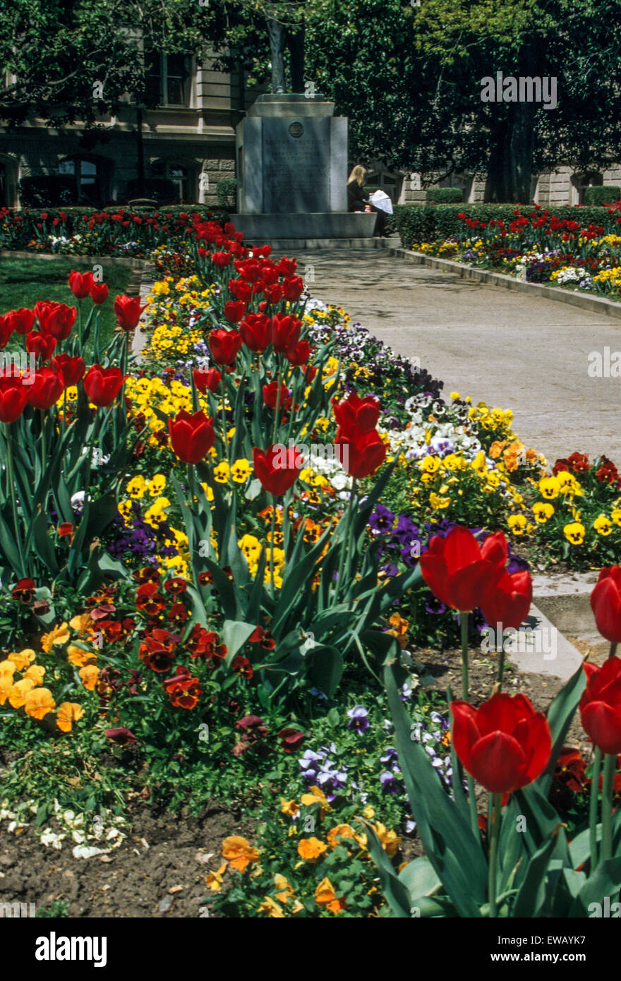 Spring blooms in the State Capitol gardens, Atlanta, Georgia, USA Stock ...