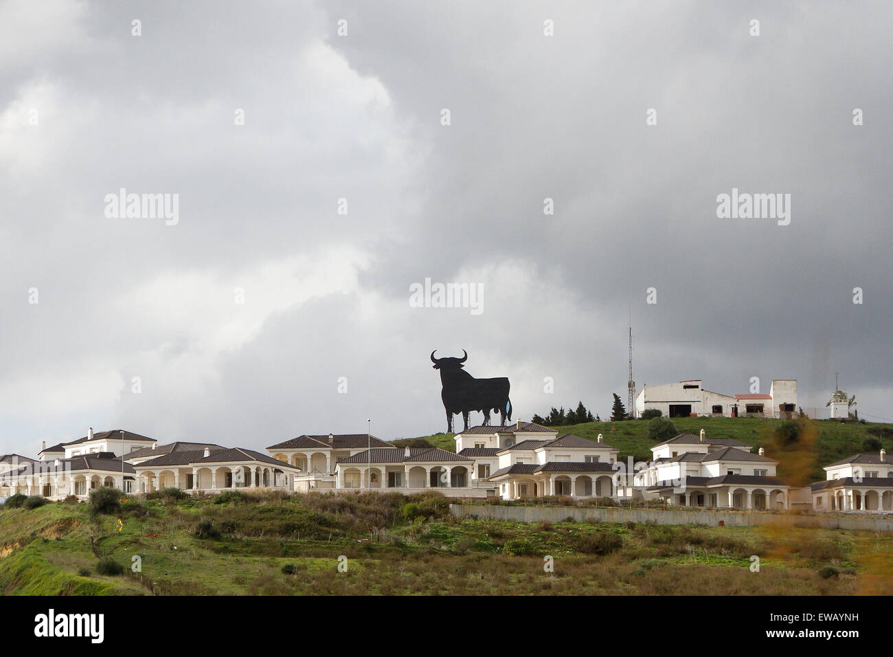 Bull silhouette icon hi-res stock photography and images - Alamy