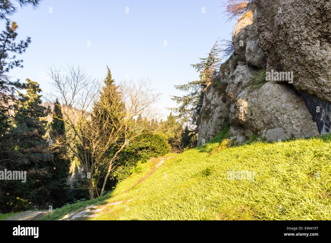 Walk path between shrubs and green grass Stock Photo - Alamy