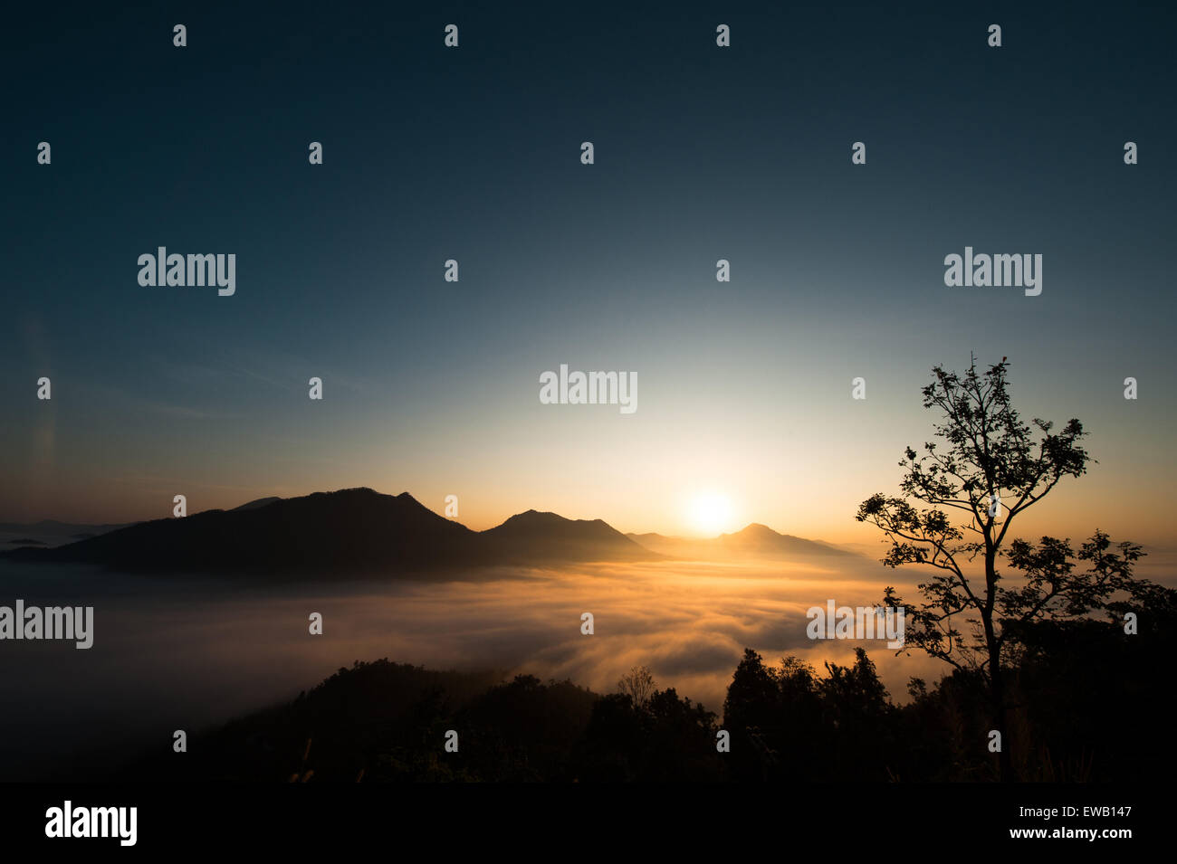Summit flora hi-res stock photography and images - Alamy