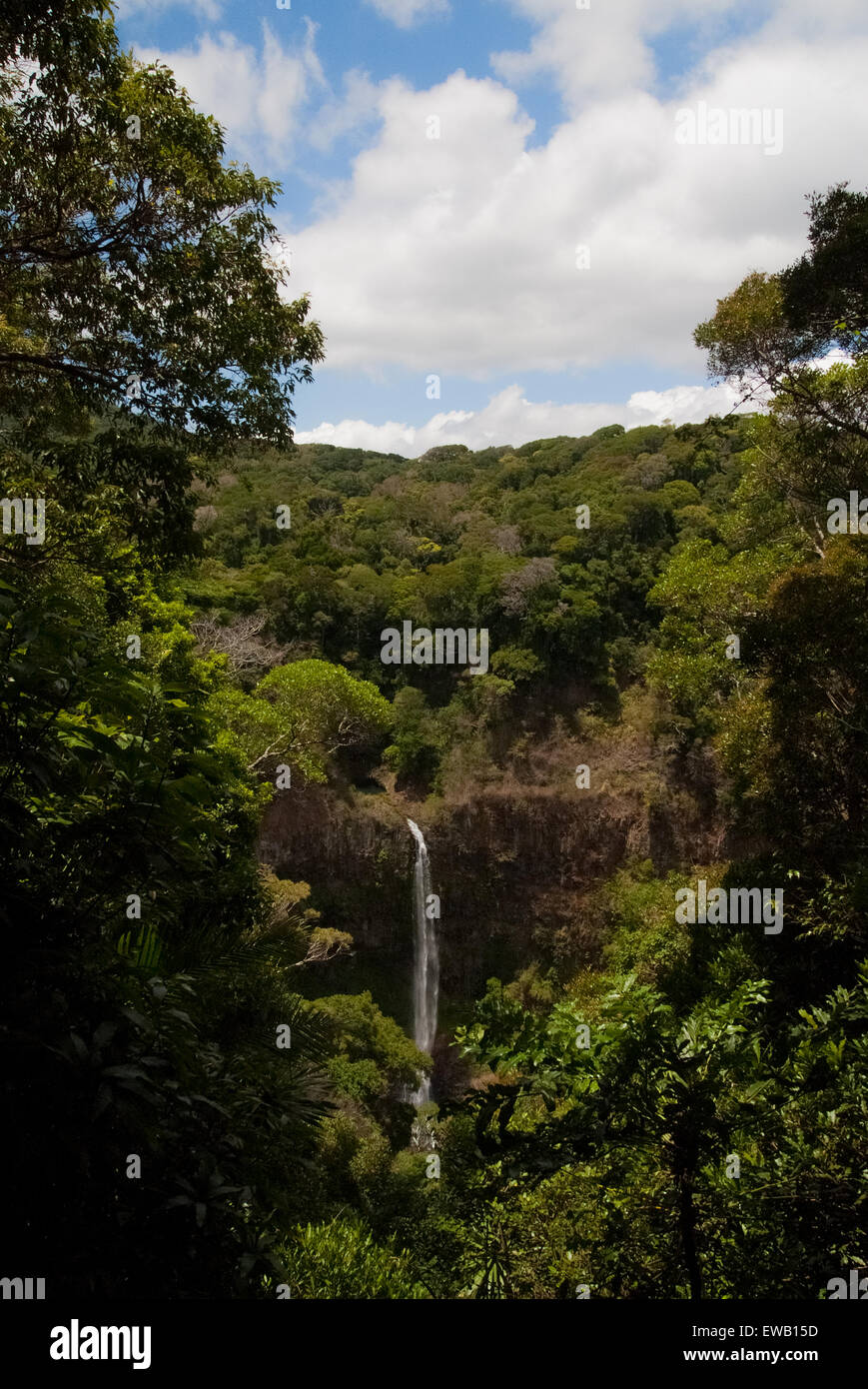 Madagascar rainforest landscape hi-res stock photography and images - Alamy