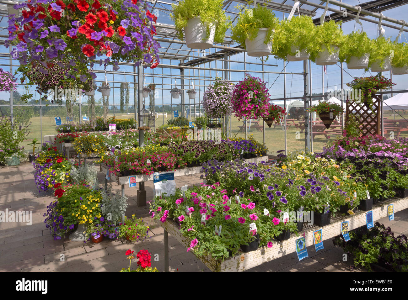 Glass enclosed displays hi-res stock photography and images - Alamy