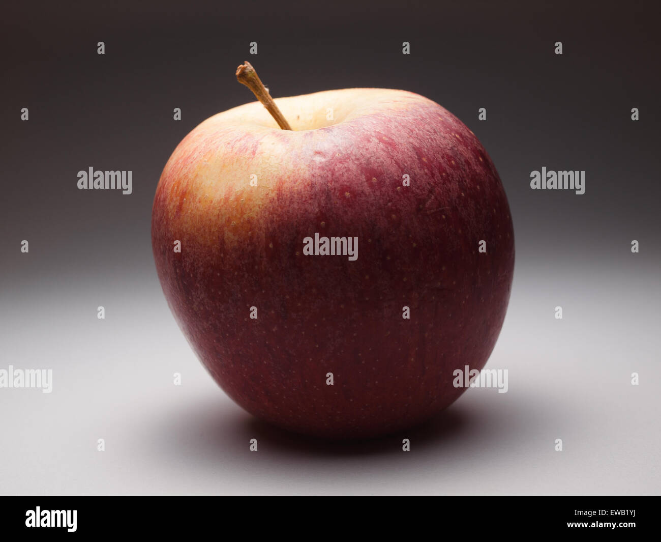 Red apple isolated on grey background in a studio shot Stock Photo - Alamy