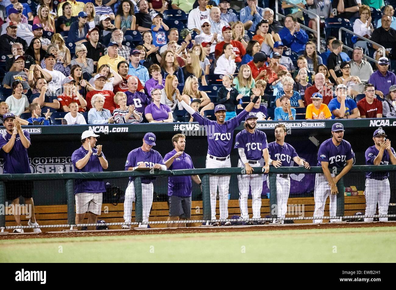 June 18, 2015: TCU bench reacts late in action during game 10 of the ...
