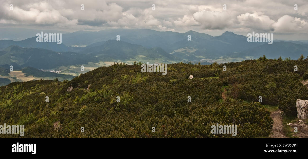 Mala Fatra mountains from Velky Choc hill in Chocske vrchy mountains ...