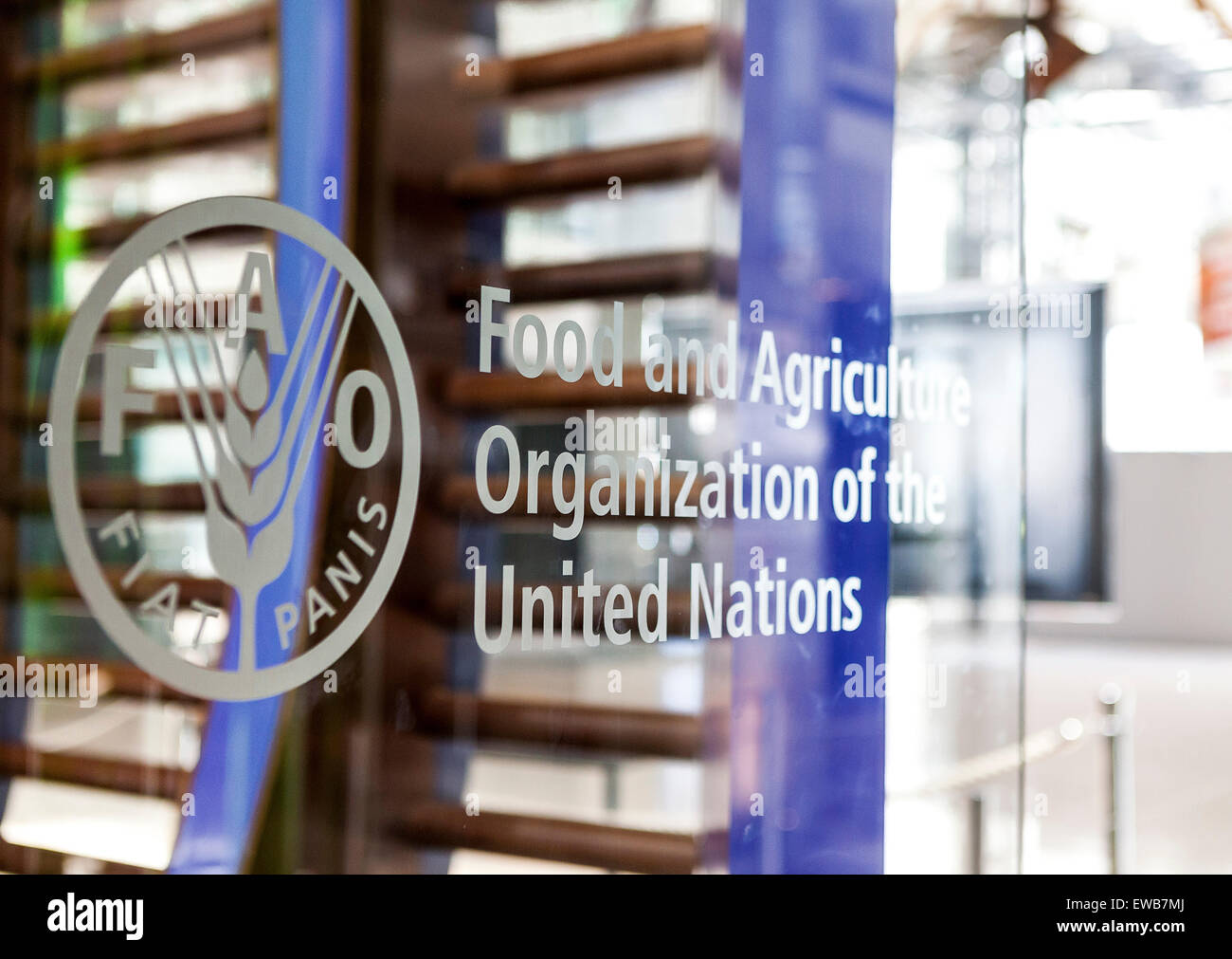 Logo food agriculture organization fao High Resolution Stock ...