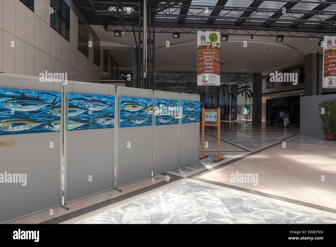 Fao rome hi-res stock photography and images - Alamy