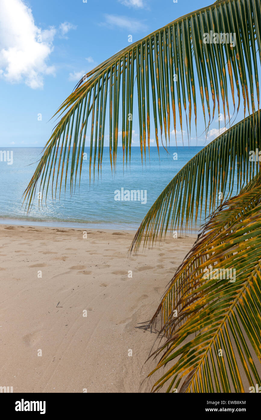 Beach on tropical island. Clear blue water, sand, clouds Stock Photo ...