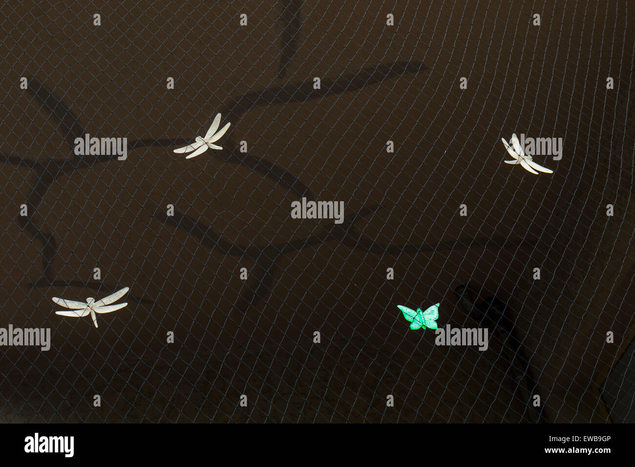 Insects in a net Stock Photo - Alamy