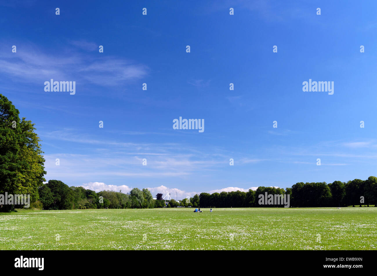 Pontcanna Fields, Cardiff, Wales, UK Stock Photo - Alamy