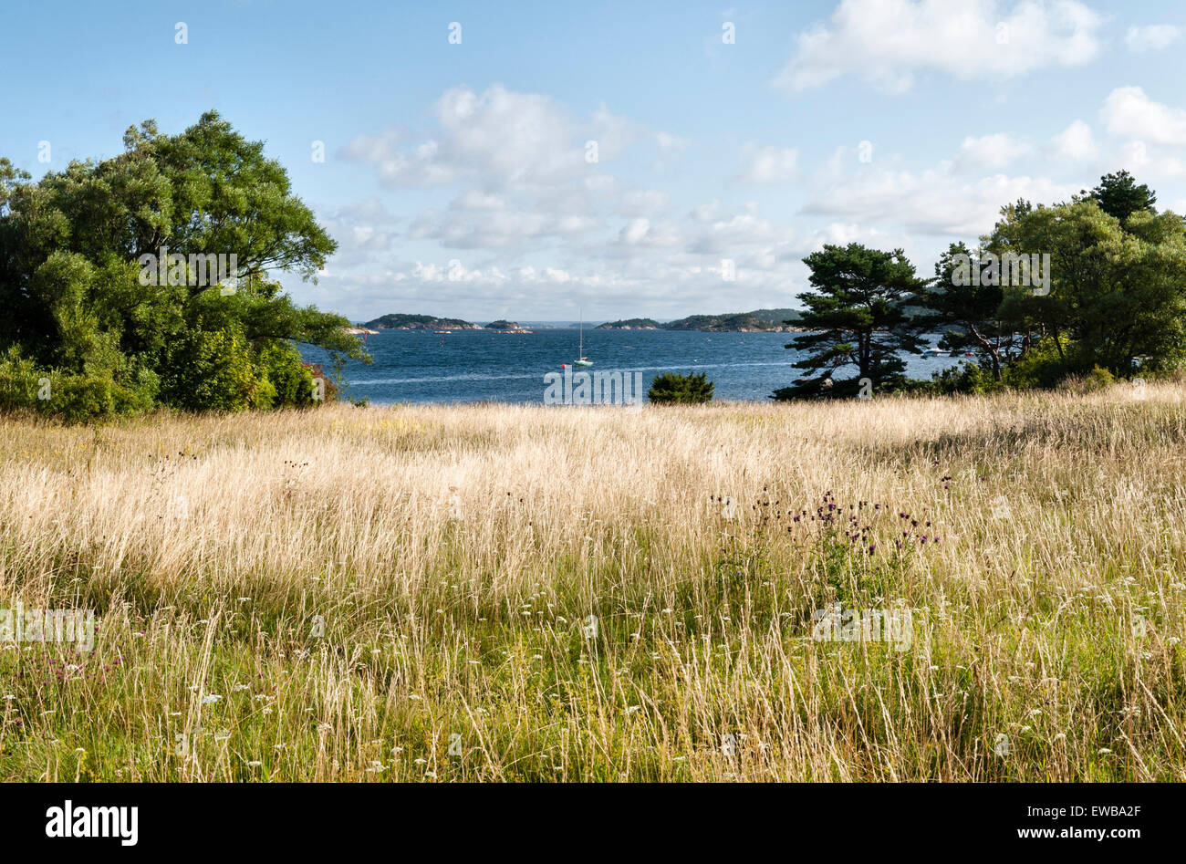 Norway - summer on the island of Søndre Sandøy, one of the Hvaler ...