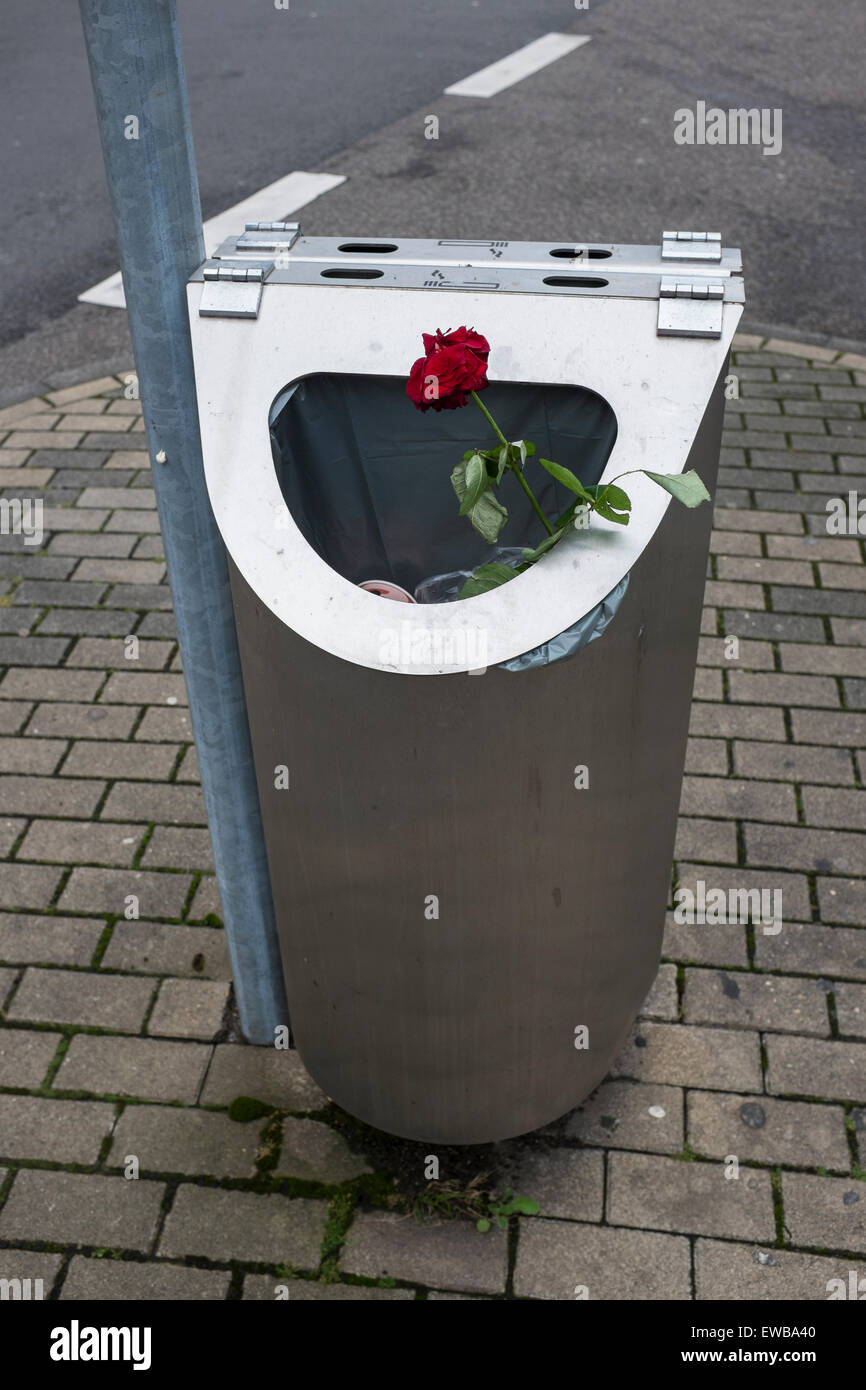 Rose in dustbin Stock Photo - Alamy