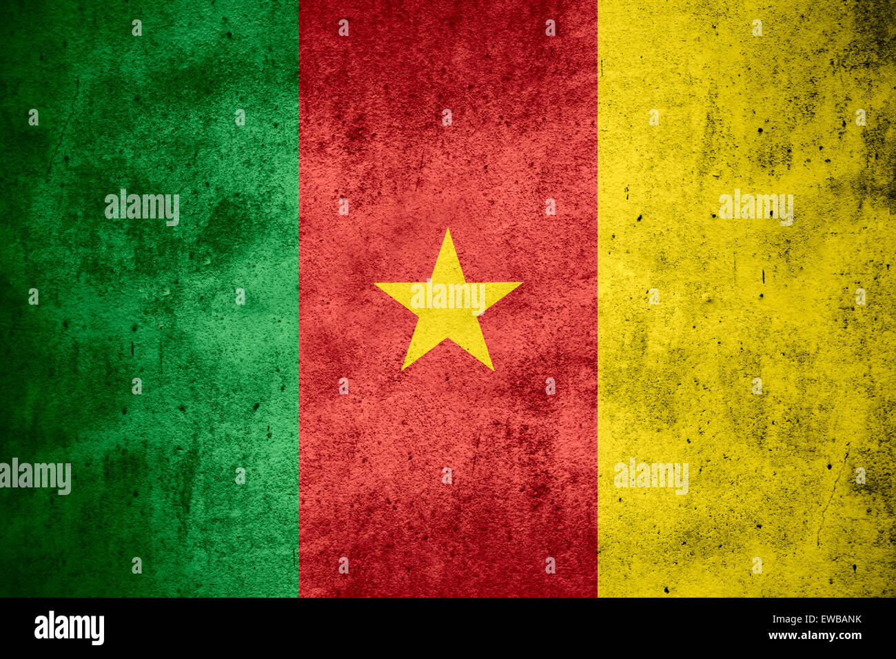 flag of Cameroon or Cameroonian banner on rough pattern texture ...