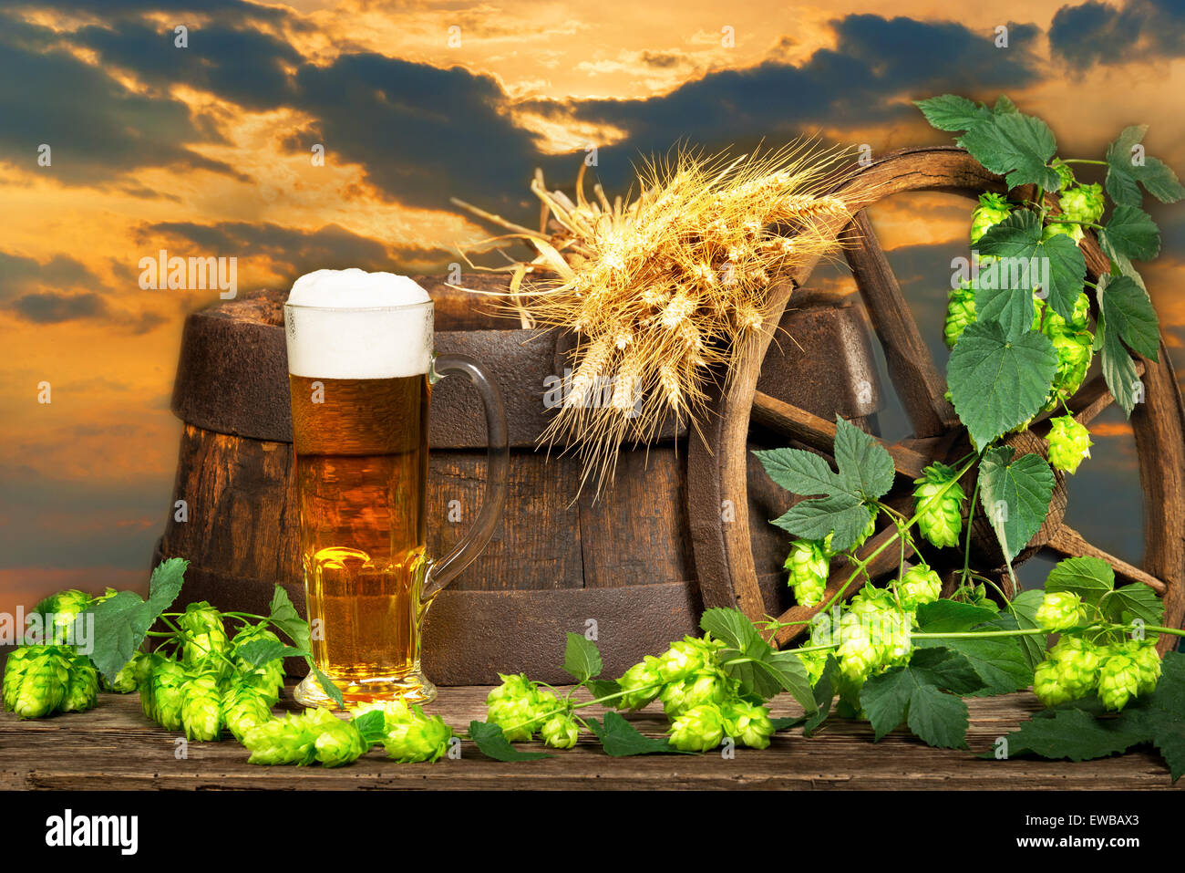 mysterious still life with glass of beer and raw material for beer ...
