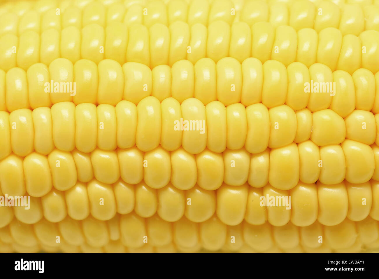 closeup of sweet corns as food background Stock Photo - Alamy