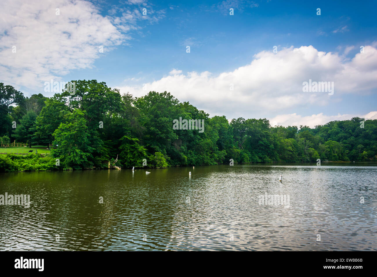 Lake Roland, at Robert E. Lee Park in Baltimore, Maryland Stock Photo ...