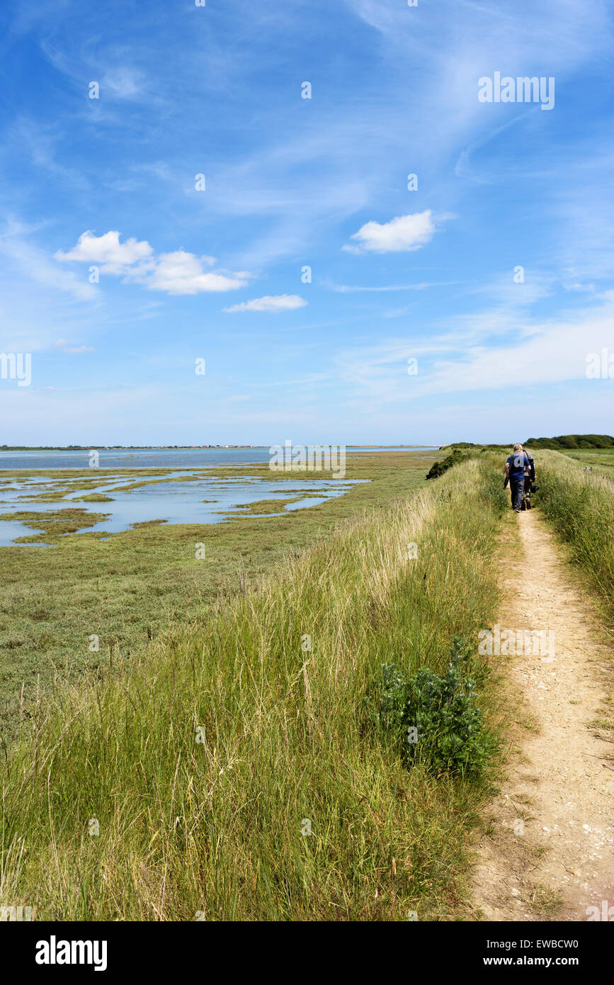 Rspb nature reserve pagham uk hi-res stock photography and images - Alamy