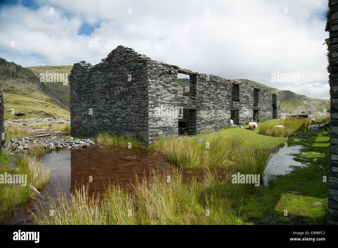 Rhosydd slate quarry the derelict ruins of the quarrymen's barracks ...