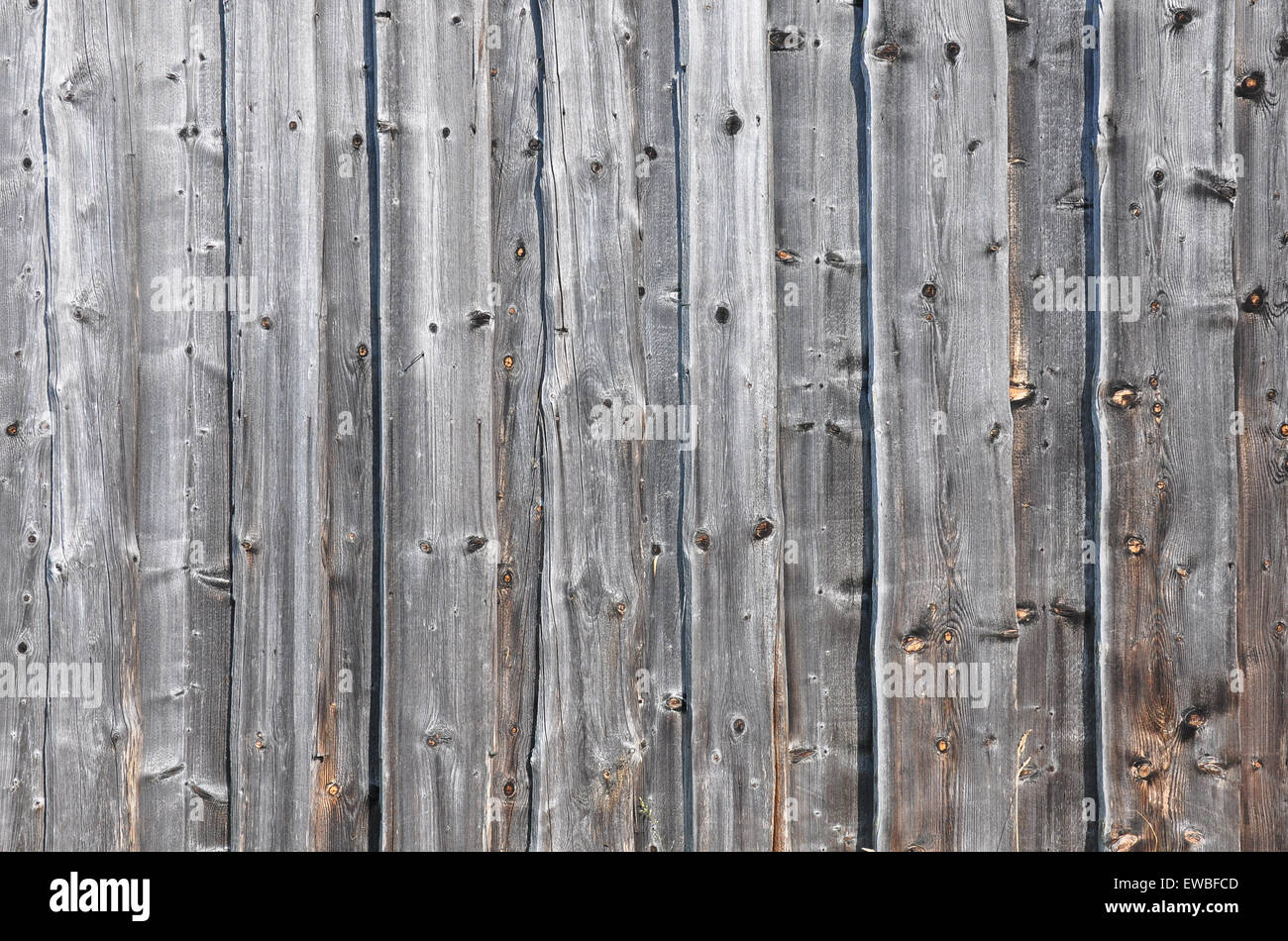 Grey boards hi-res stock photography and images - Alamy