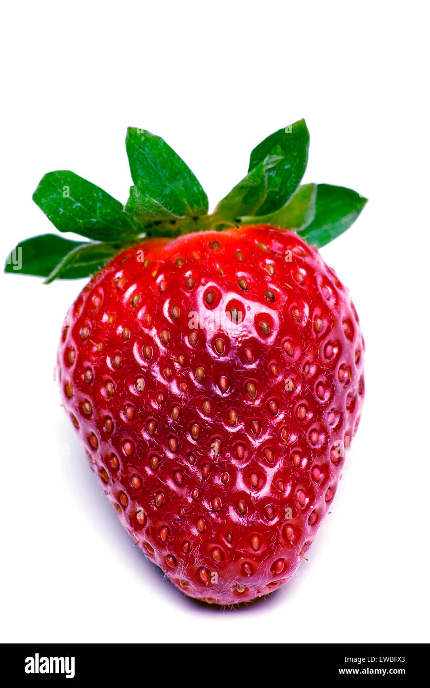 Strawberry hi-res stock photography and images - Alamy