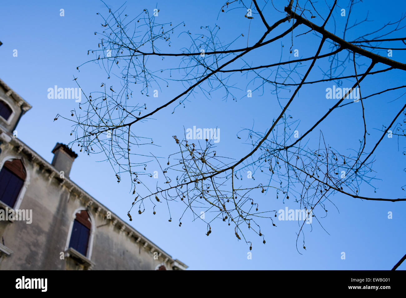 Blue venezia hi-res stock photography and images - Alamy