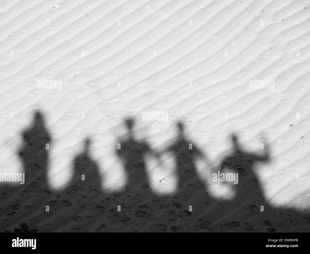 Shadow of five walkers on South West Coast Path, Cornwall Stock Photo ...
