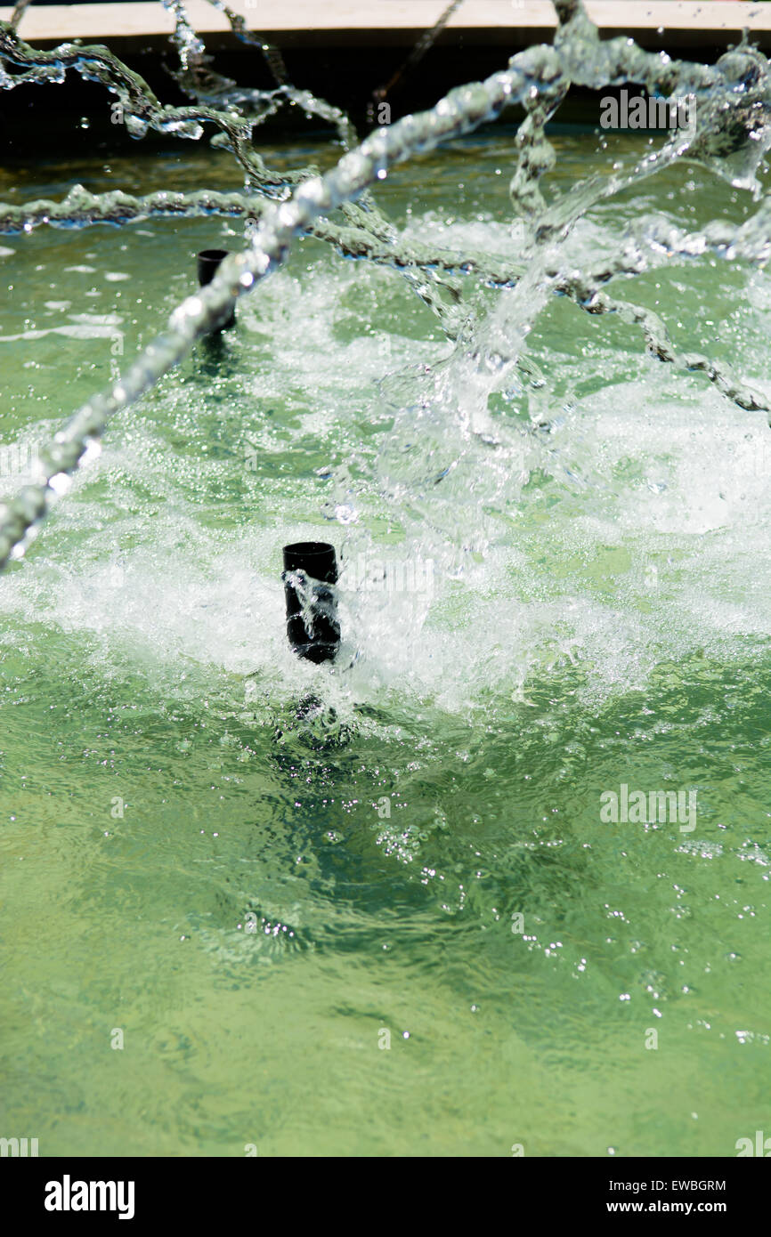 Clear Water Jets In Fountain Stock Photo - Alamy