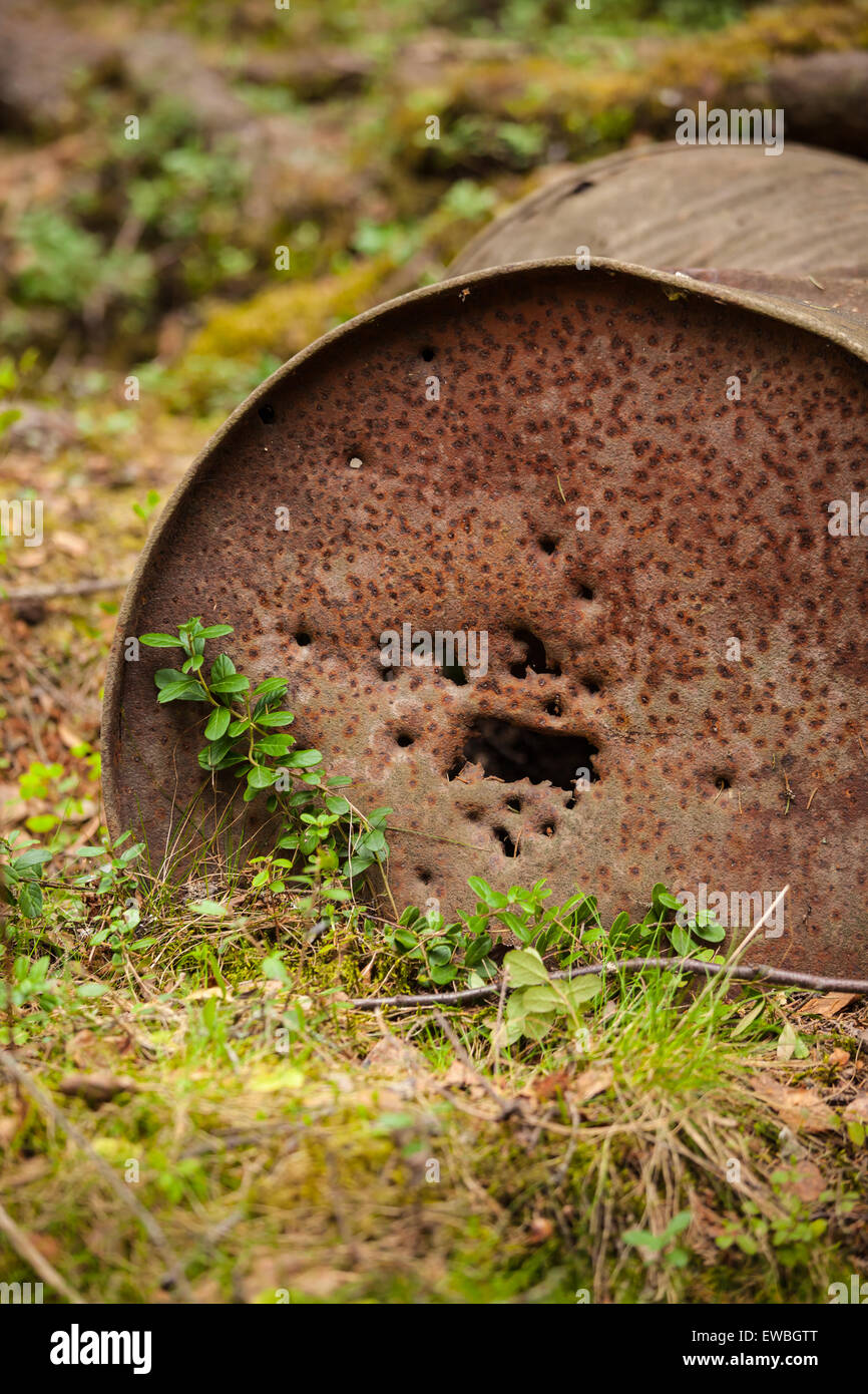 Rusty oil barrel in nature closeup Stock Photo - Alamy