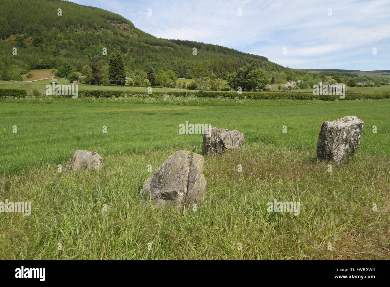 Carse standing stones hi-res stock photography and images - Alamy