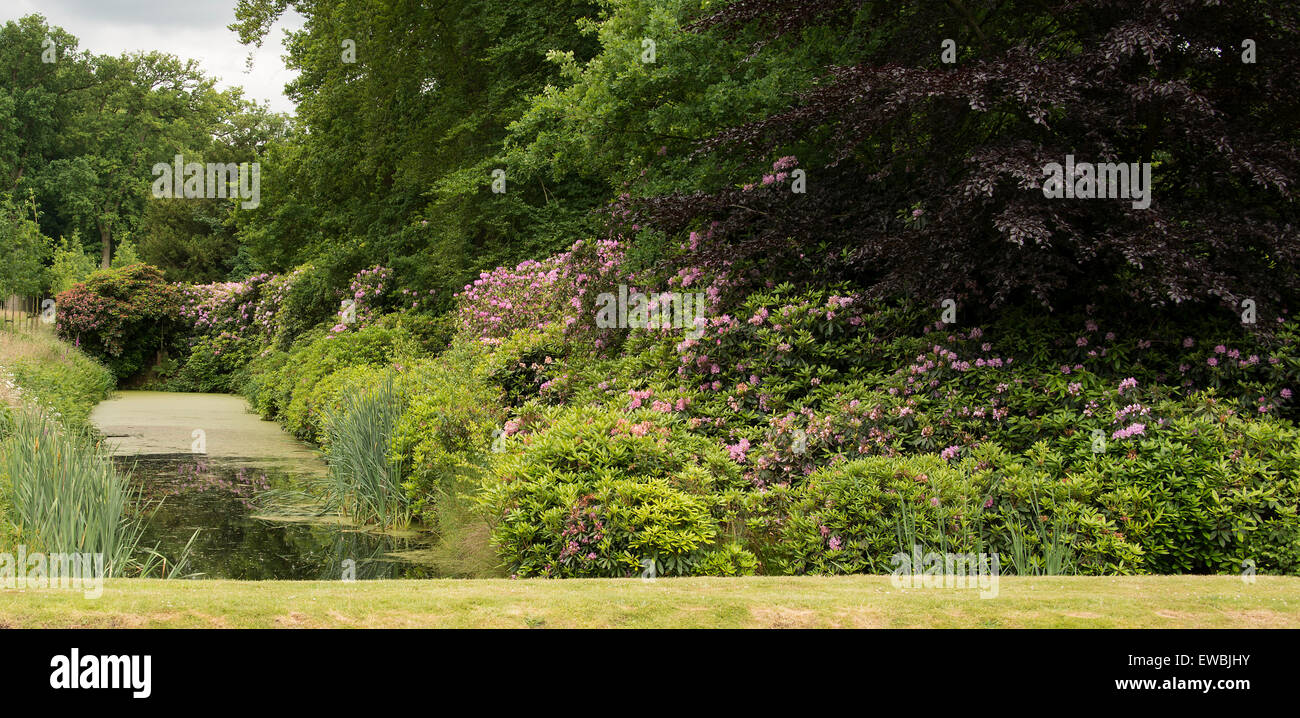 English landscape plants hi-res stock photography and images - Alamy