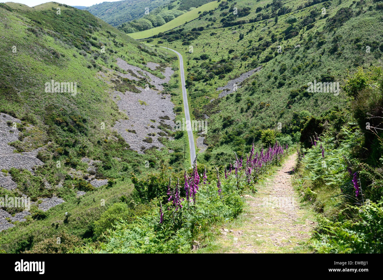 Countisbury south west coastal path hi-res stock photography and images ...