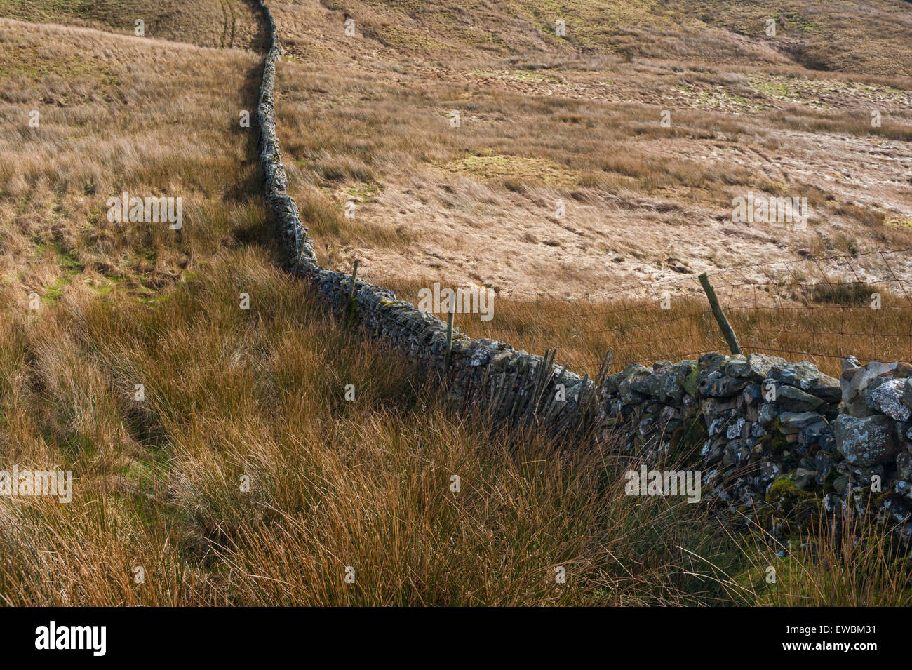 Fellside hi-res stock photography and images - Alamy