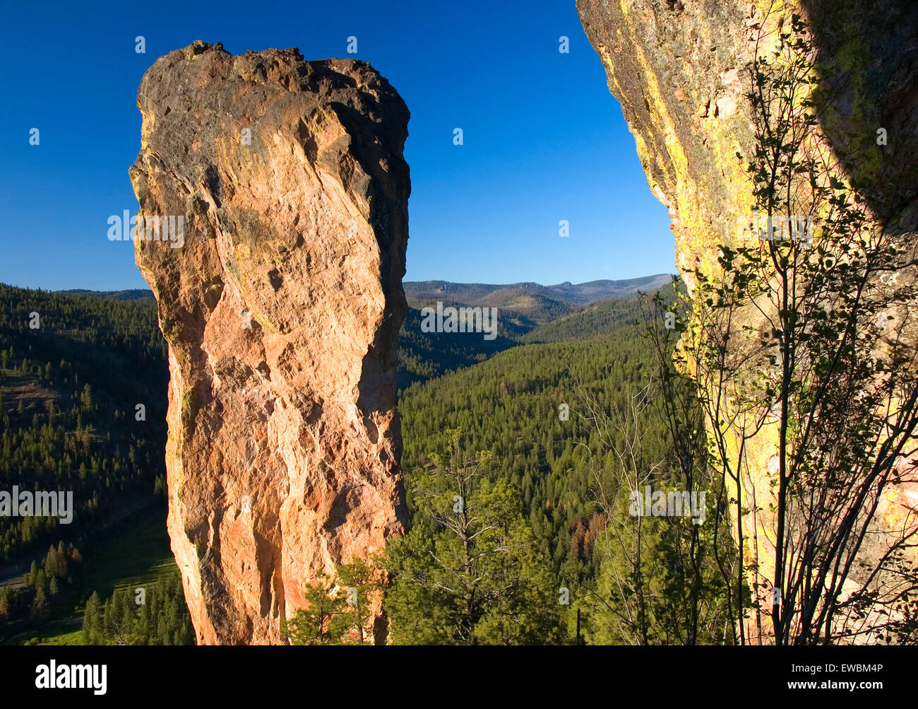 Steins Pillar from Steins Pillar Trail, Ochoco National Forest, Oregon ...